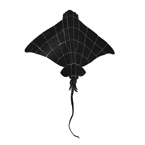 Aquatic Custom Tile Black Stingray Porcelain Swimming Pool Mosaic 24 i ...